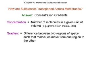 102 chapter 04 plasma membrane | PPT