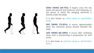 PHASES OF GAIT | PPTX
