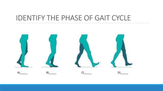 PHASES OF GAIT | PPTX