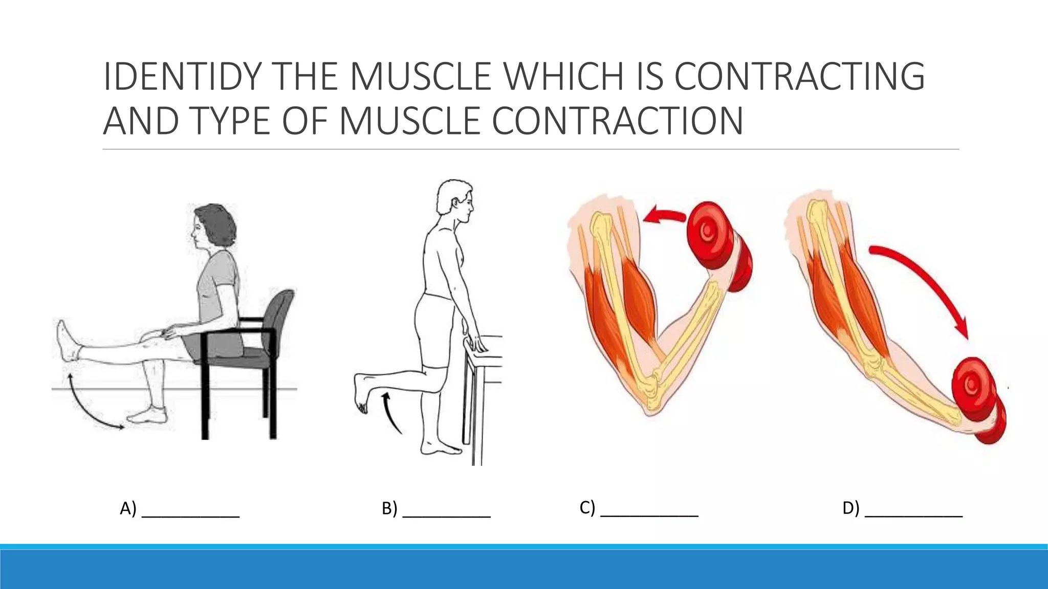 TYPES OF MUSCLE CONTRACTION | PPTX