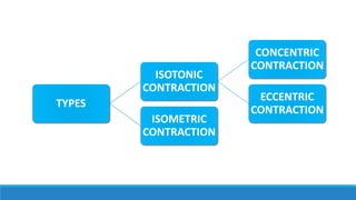 TYPES OF MUSCLE CONTRACTION | PPT