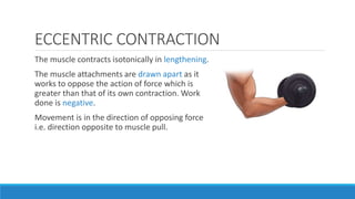 TYPES OF MUSCLE CONTRACTION | PPT