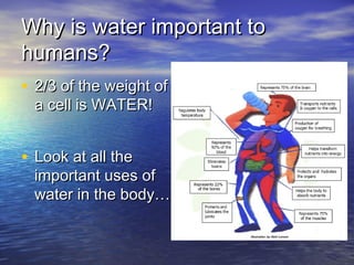102 water p h notes 2010 | PPT