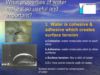 102 water p h notes 2010 | PPT