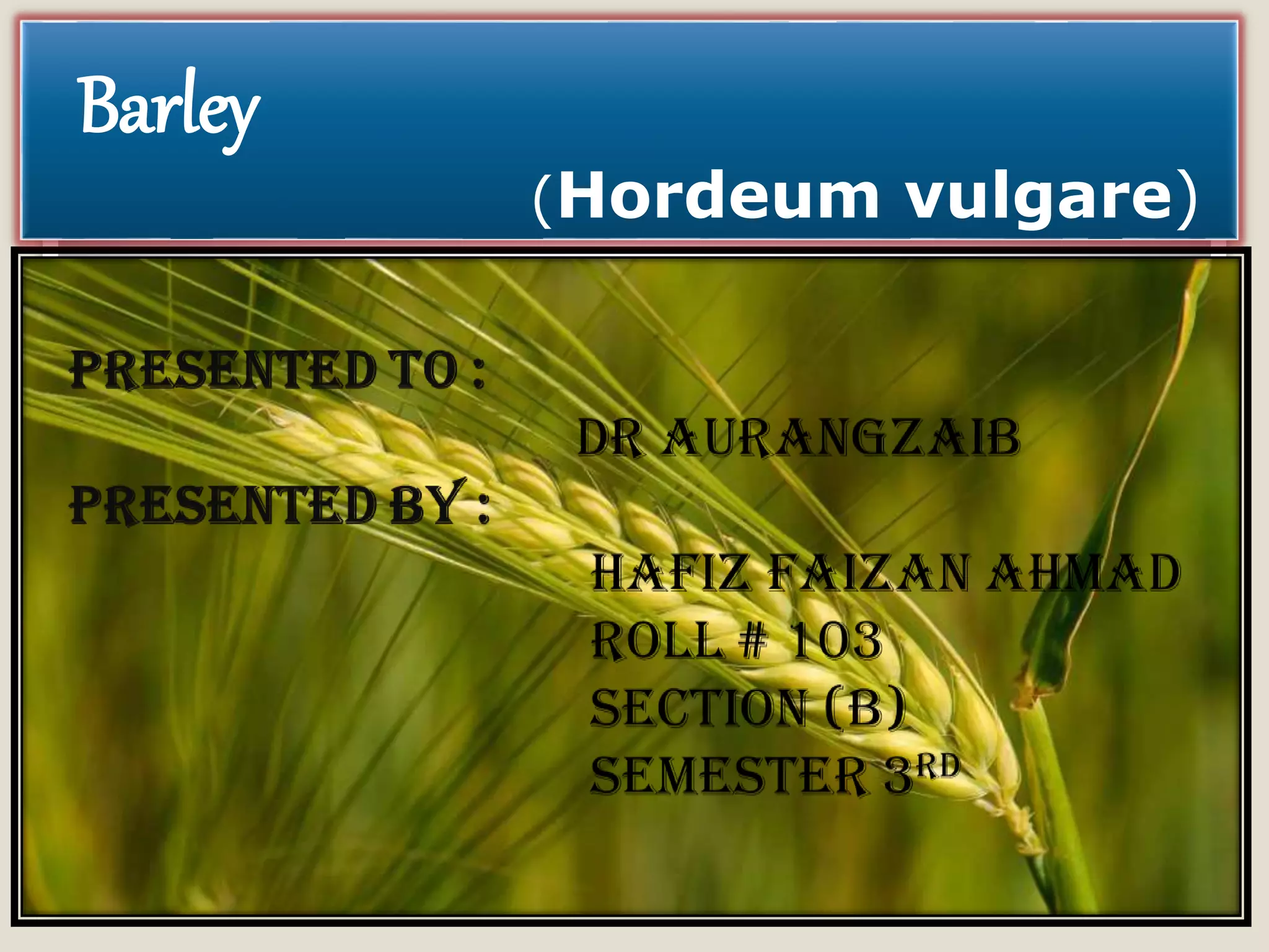 Production Technologies of Barley | PPTX