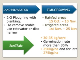 Production Technologies of Barley | PPTX