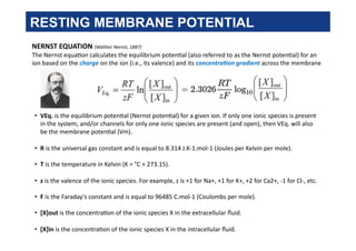 1 03-F Potencial de membranayybb.pdf.pdf