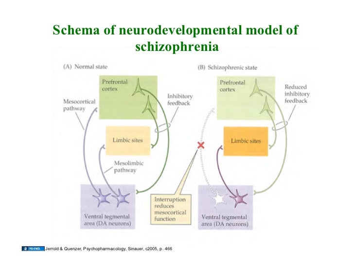 10.30.08(b): Antipsychotic Drugs