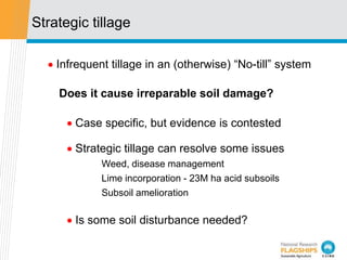 Sense and nonsense in CA: principles, pragmatism and productivity ...