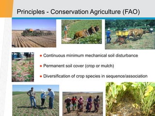 Sense and nonsense in CA: principles, pragmatism and productivity..... John Kirkegaard | PPT