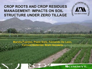 Crop roots and crop residues management: impacts on soil structure under zero tillage. Mariela ...