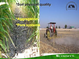 Crop roots and crop residues management: impacts on soil structure under zero tillage. Mariela ...