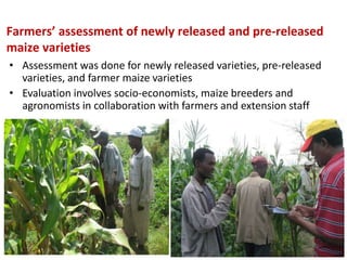 Sustainable intensification of maize legume cropping systems for food security in Eastern and ...
