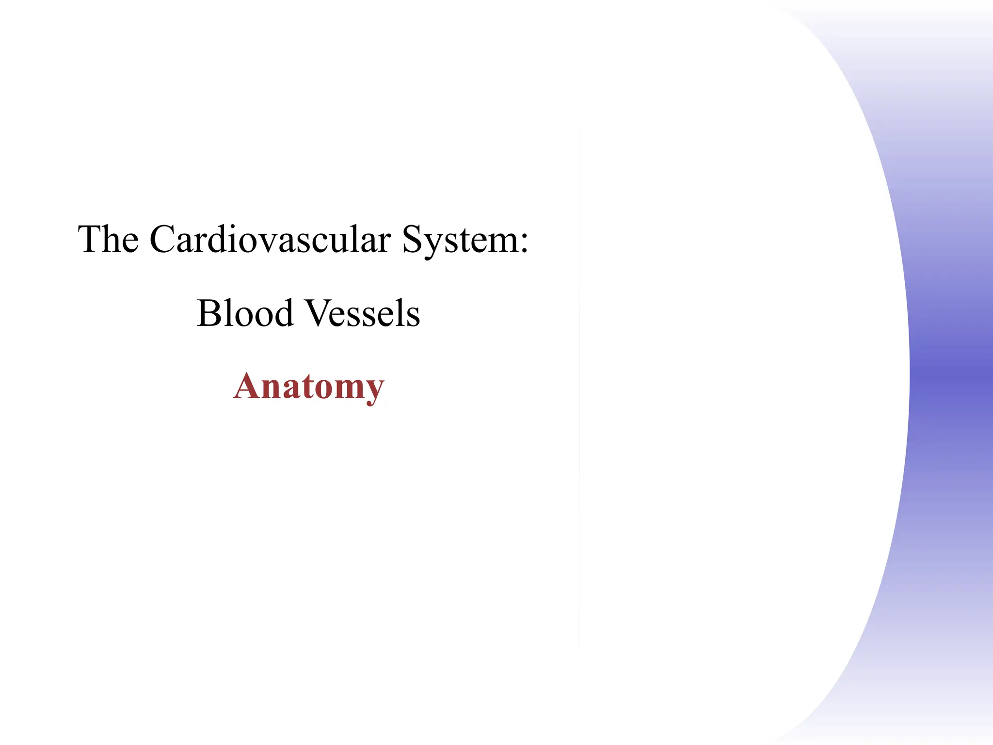 Cardiovascular system blood vessels .ppt