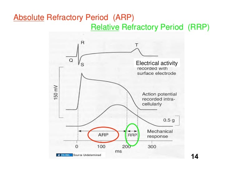 10.31.08: Physiological Basis of ECG