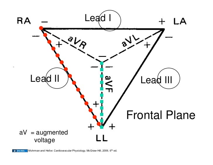 10.31.08: Physiological Basis of ECG