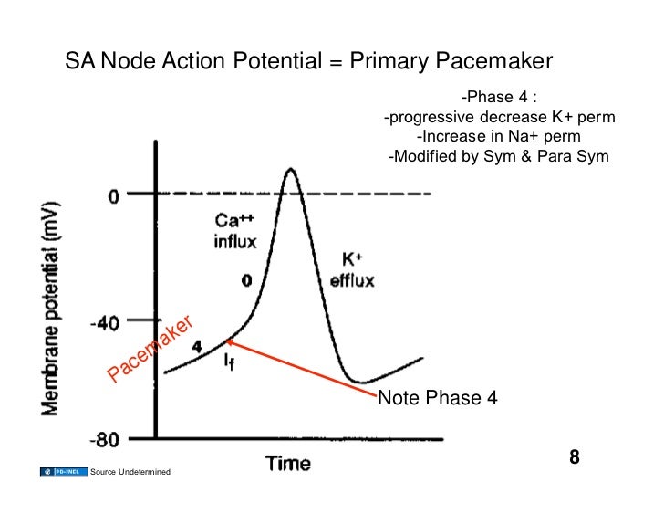 10.31.08: Physiological Basis of ECG