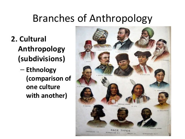 introduction-to-sociology-and-anthropology