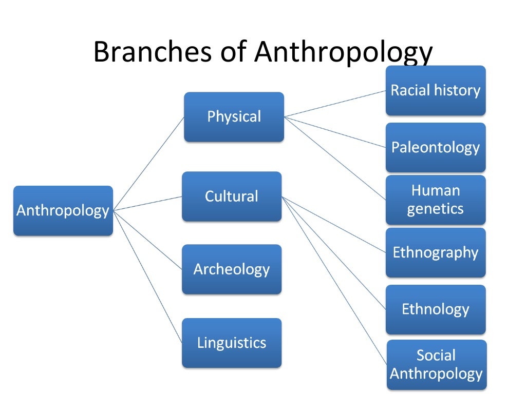 introduction-to-sociology-and-anthropology