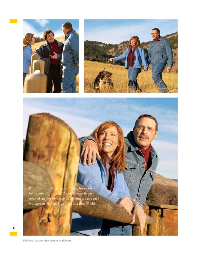 WellPoint 2005 summary annual report | PDF | Health Insurance | Insurance