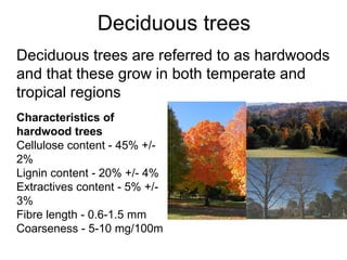 Structure of timber in design building.ppt
