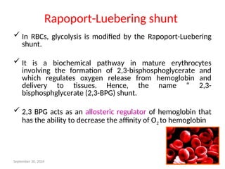 Glycolysis (carbohydrate metabolism).ppt