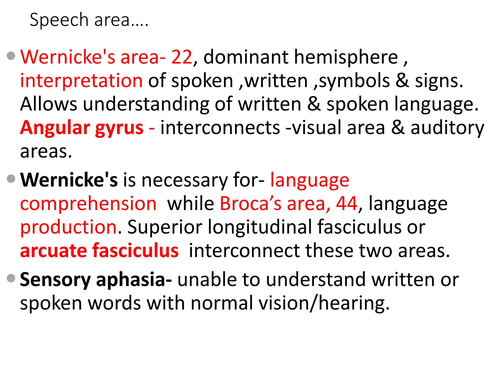 Auditory pathway special senses ear physiology | PDF