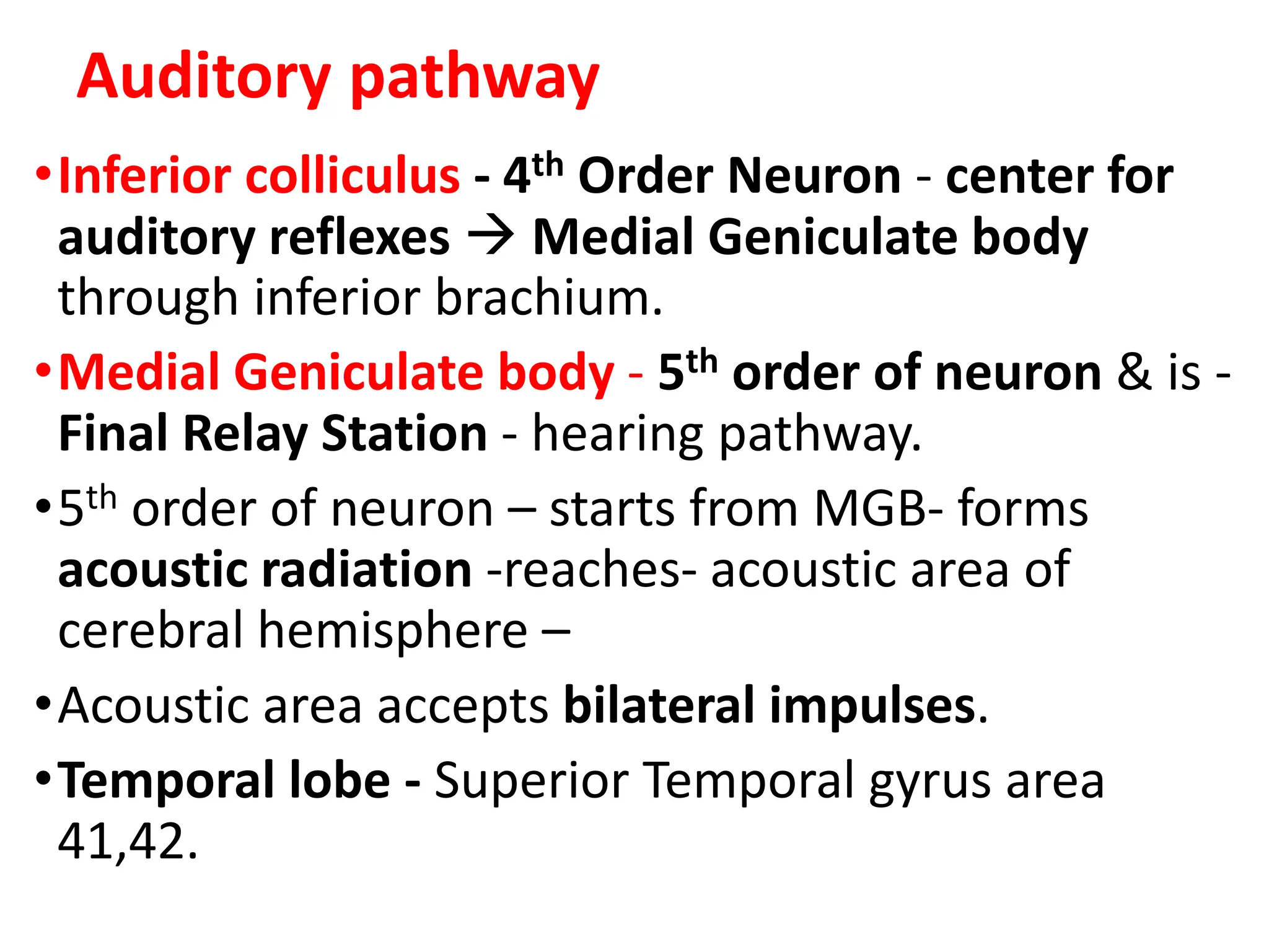 Auditory pathway special senses ear physiology | PDF
