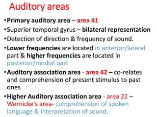 Auditory pathway special senses ear physiology | PDF
