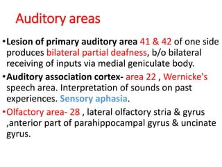 Auditory pathway special senses ear physiology | PDF