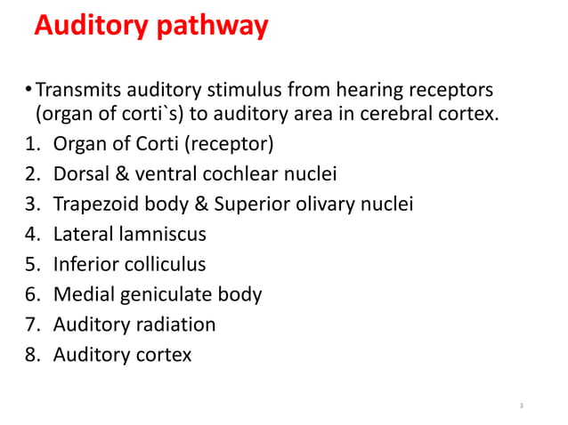 Auditory pathway special senses ear physiology | PDF