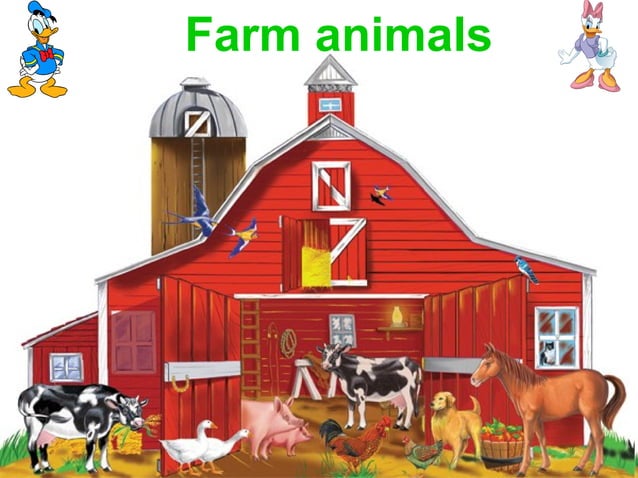 Farm animals | PPT
