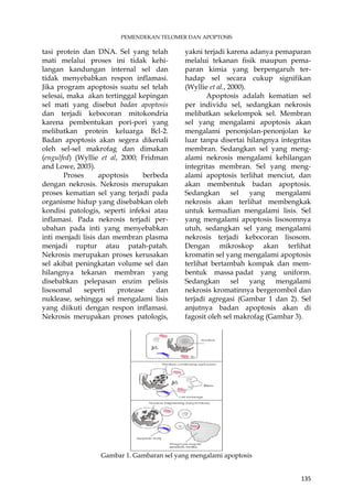 103606-ID-pemendekan-telomer-dan-apoptosis.pdf