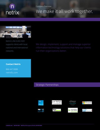 Netrix Profile V3 | PDF