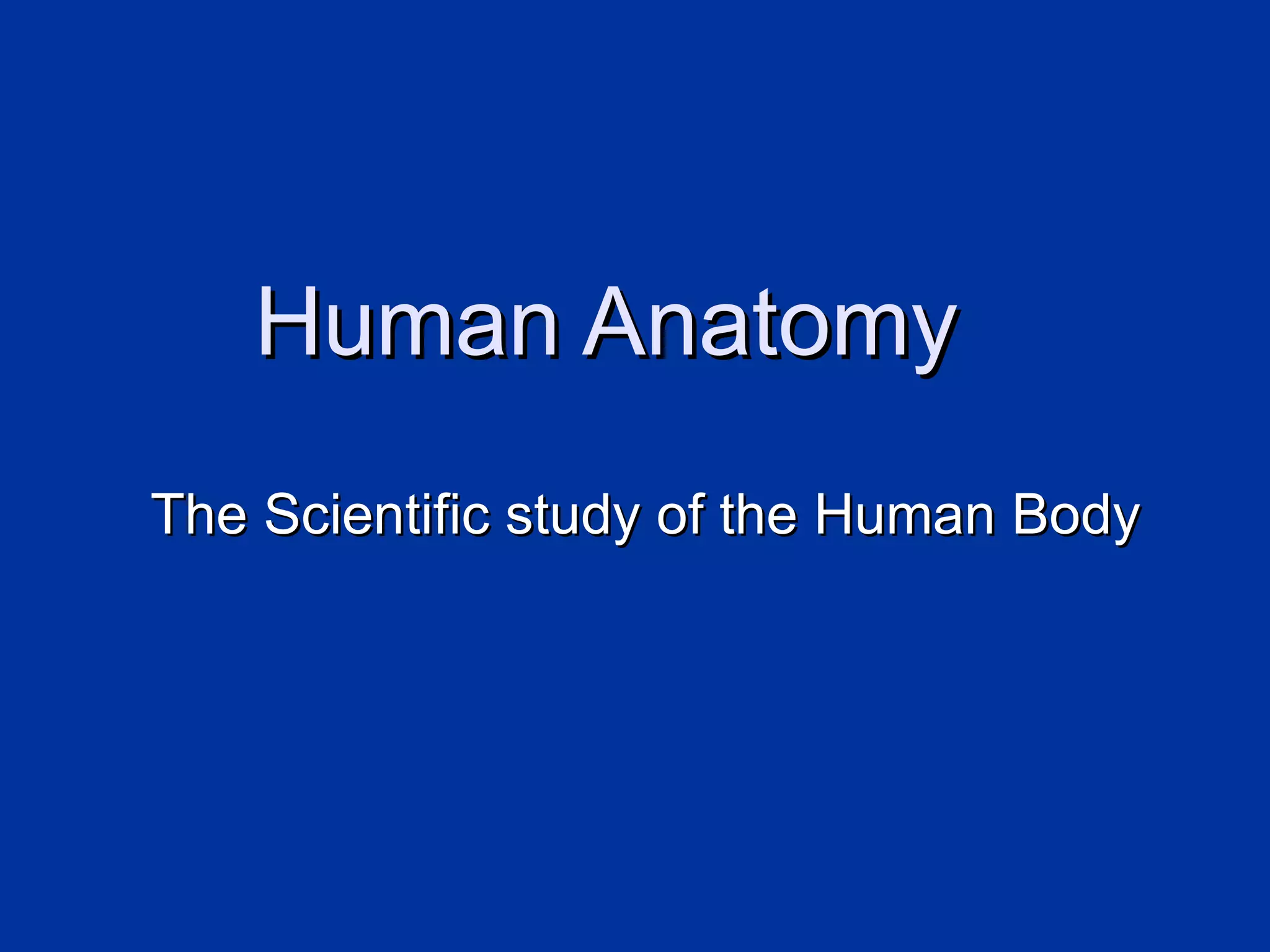 Human Anatomy | PPT