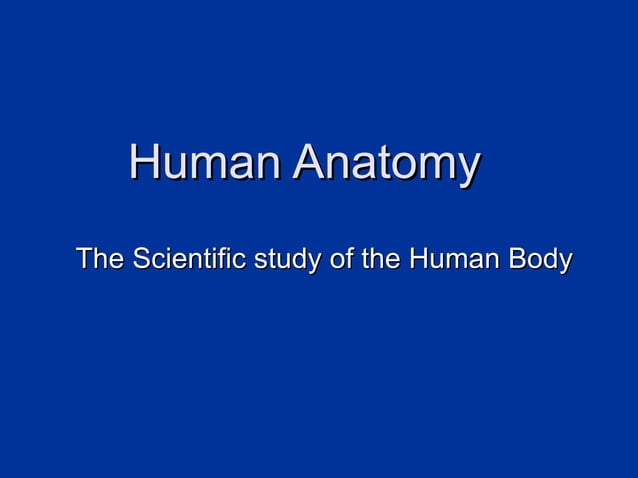 Human Anatomy | PPT