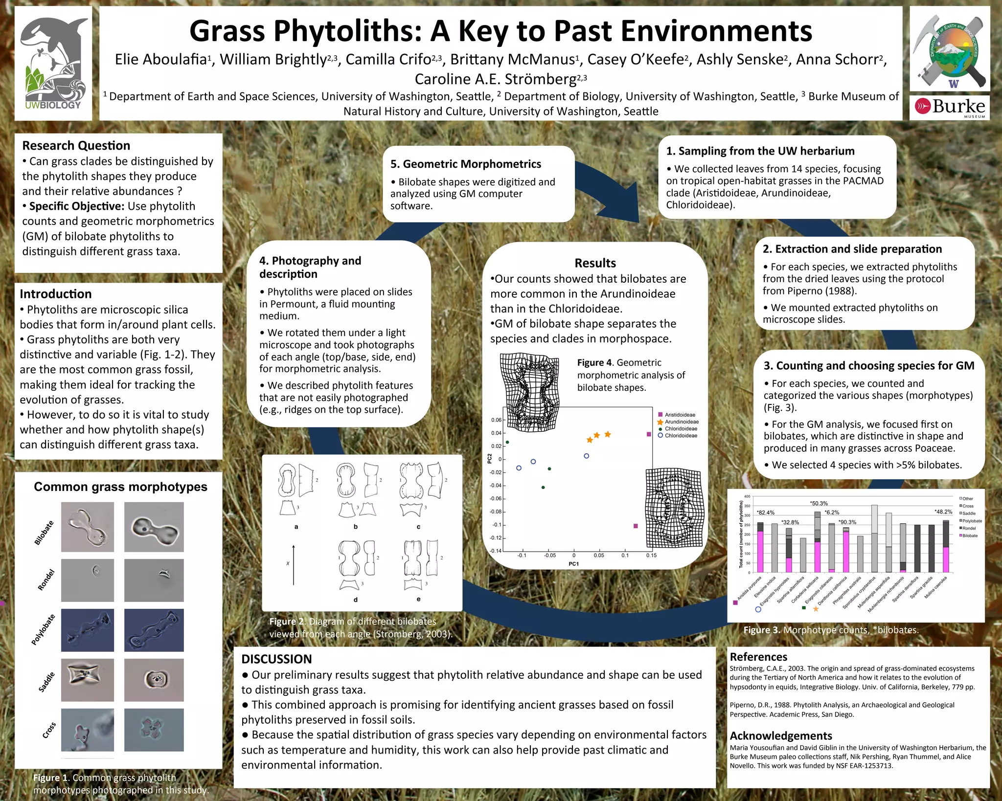 Bilobate Project | PDF
