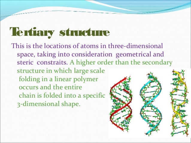 Quaternary Structure Of Dna The X-ray crystal structure of the Aptx–DNA ...