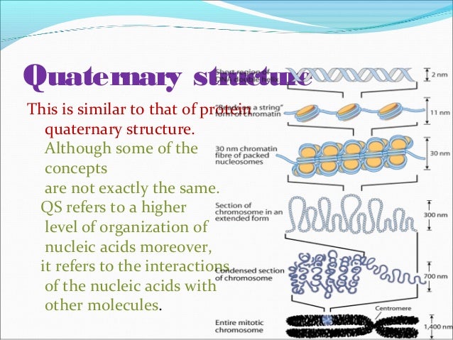 Quaternary Structure Of Dna The X-ray crystal structure of the Aptx–DNA ...