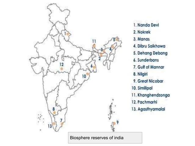 PROTECTED AREA NETWORK | PPTX | Geography | Science