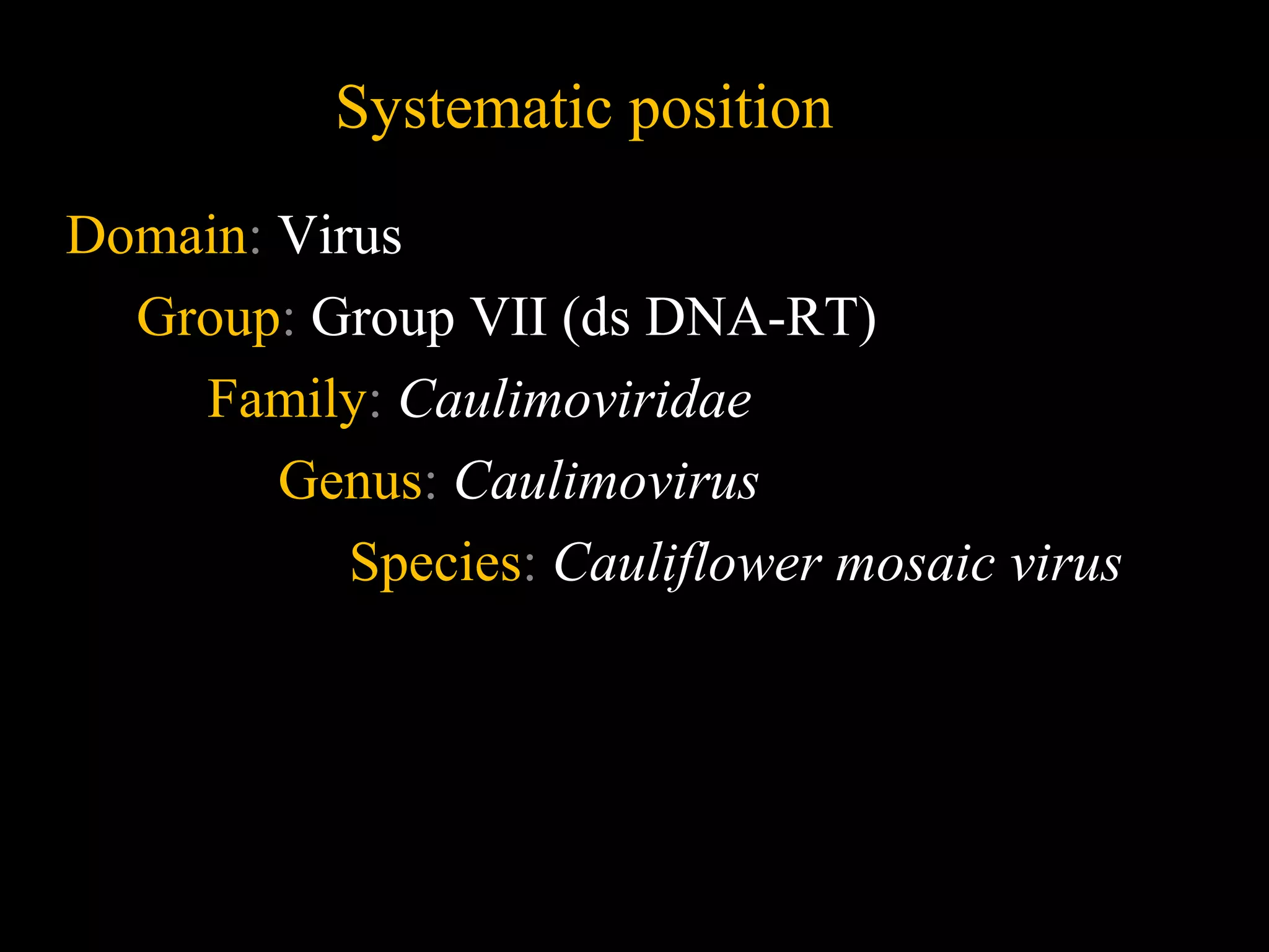 Cauliflower mosaic disease | PPT