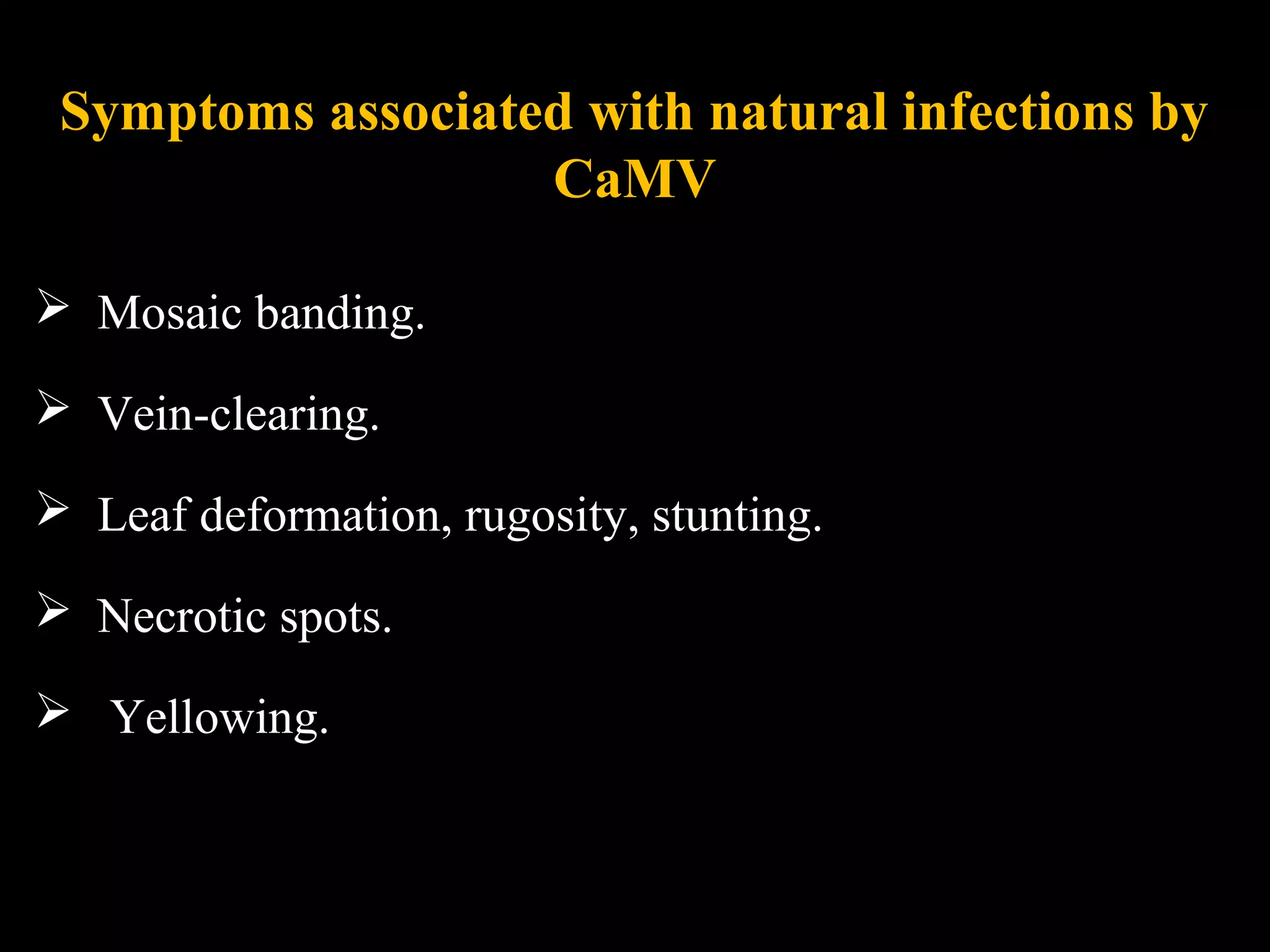 Cauliflower mosaic disease | PPT
