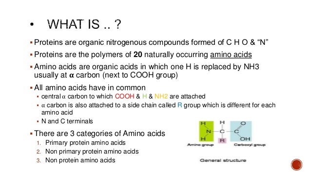 Protein Chemistry