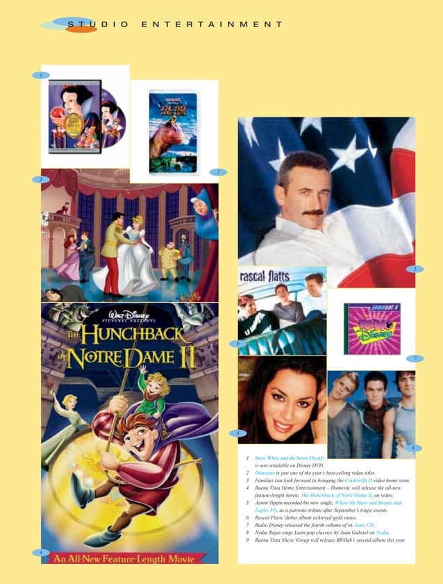 walt disney Annual Report 2001 | PDF