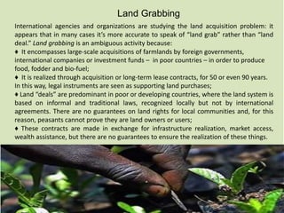 Land-grabbing. The rush for land | PPTX