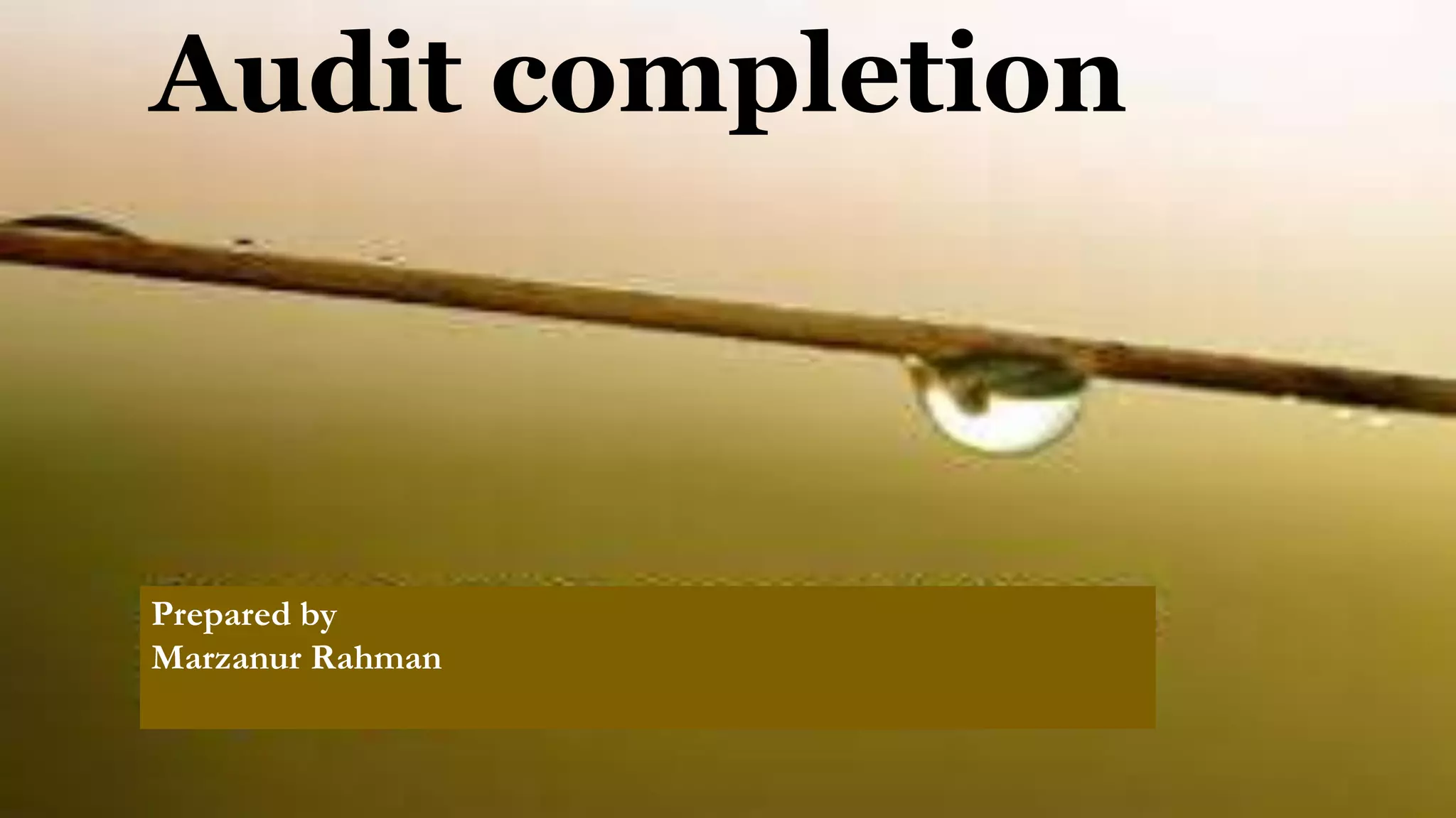 Presentation 4 - Audit Completion | PPTX