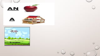 Articles a an the power point presentation | PPT