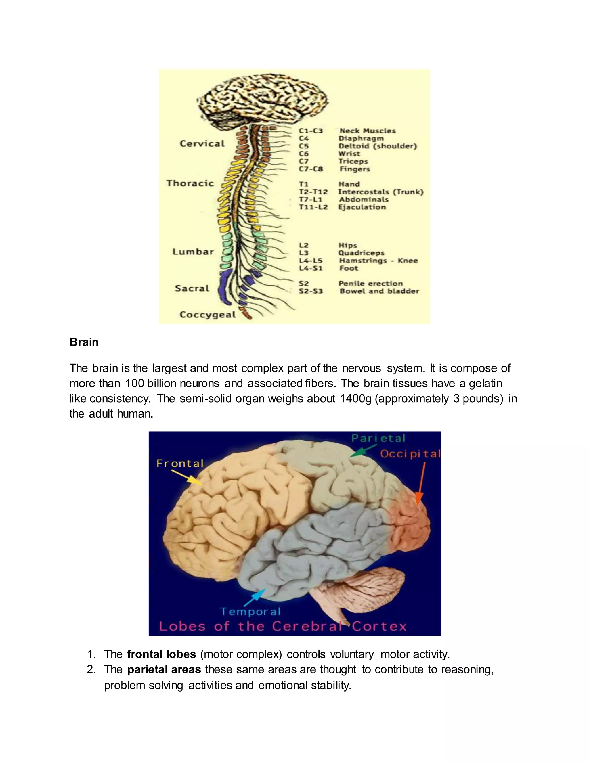 104676280 case-study-brain-tumor-final | DOCX