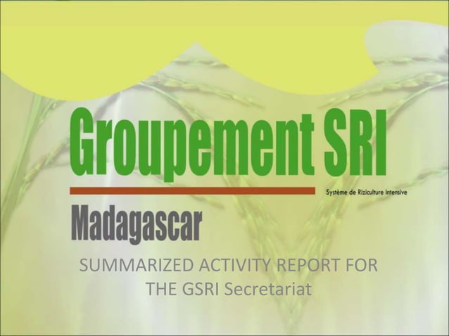 1046 Groupment SRI-Summarized Activity Report for the GSRI Secretariat ...