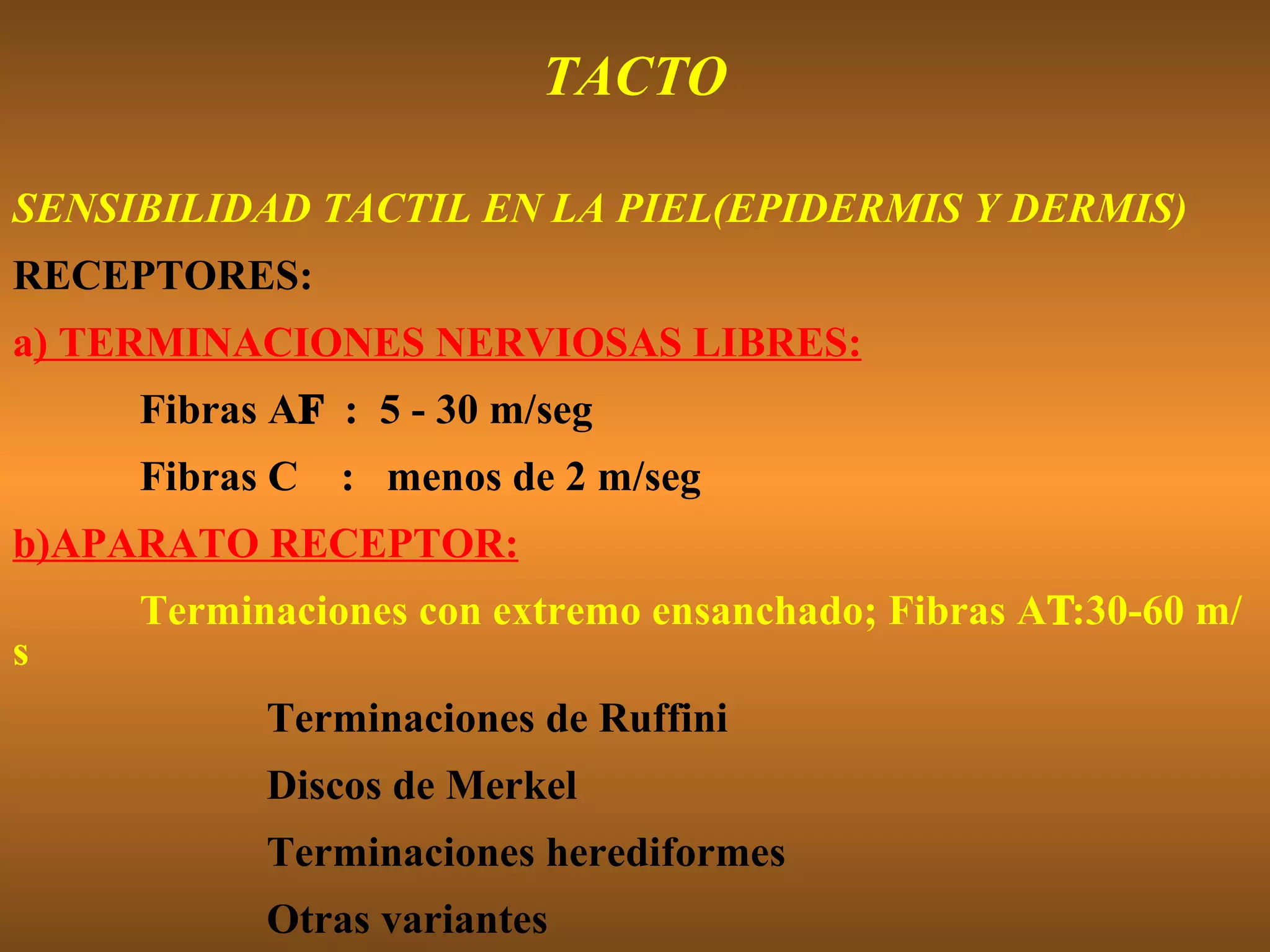 Fisiología - Receptores Sensoriales | PPT